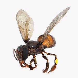 Animated 3D Max Rpo Blender Models For Download | TurboSquid