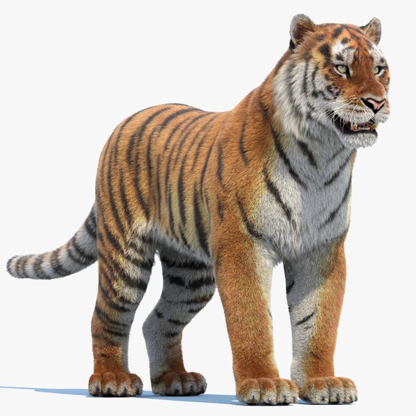 Free 3D Tiger Models | TurboSquid