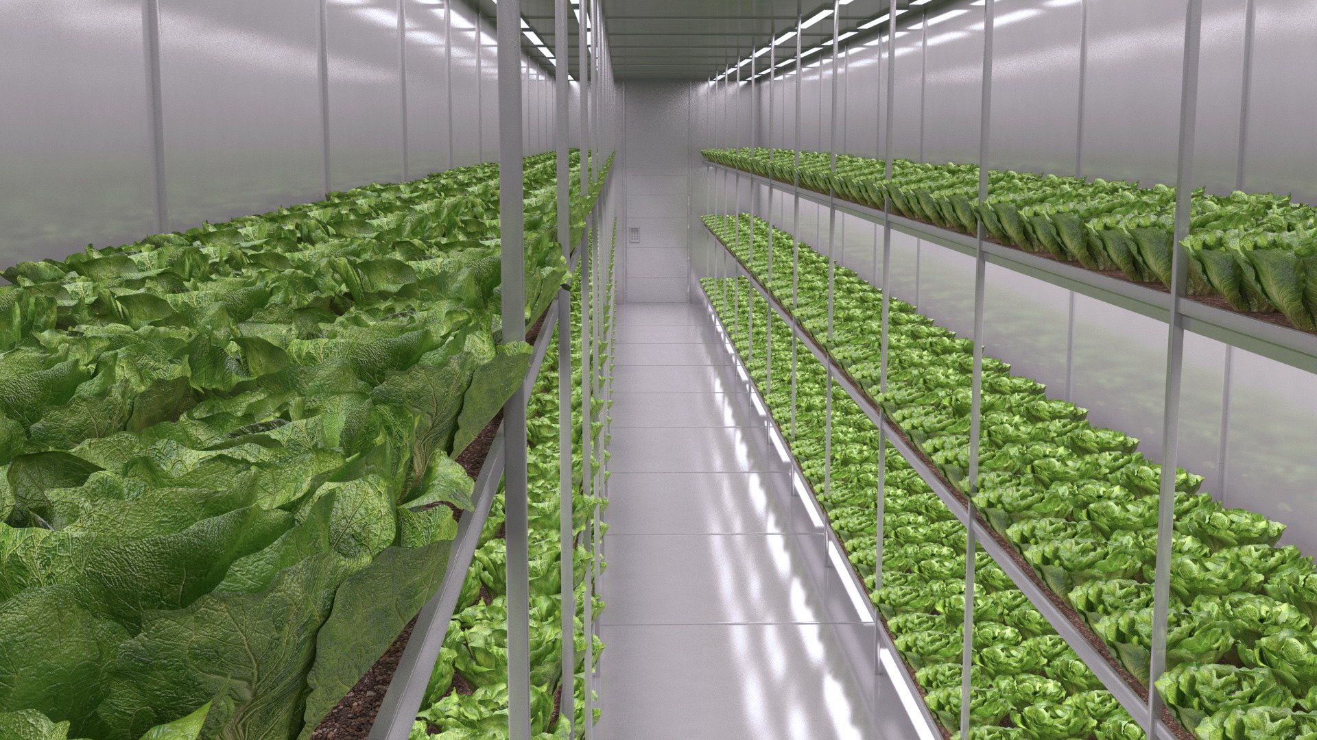 Hydroponics Farm 3D Model - TurboSquid 1361957