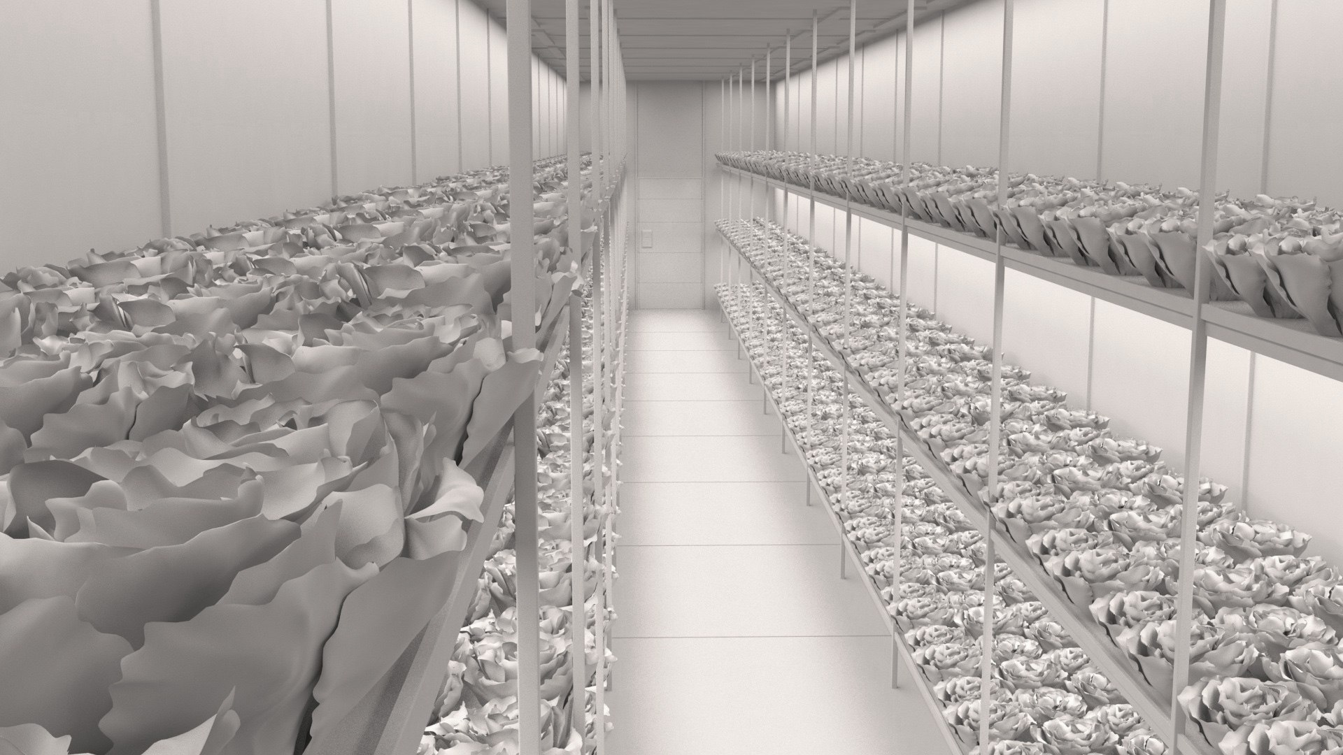 Hydroponics Farm 3D Model - TurboSquid 1361957