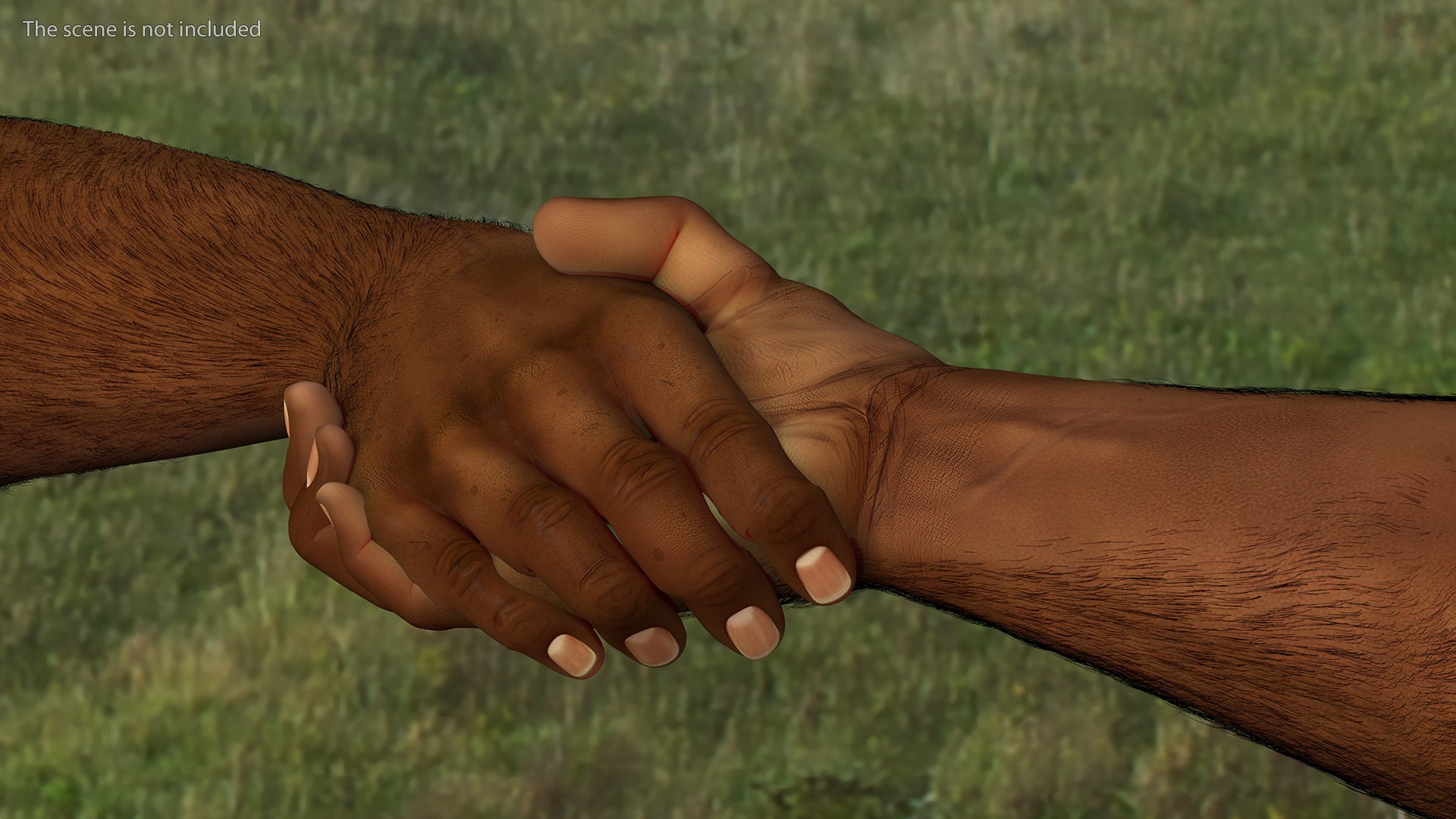 3D Model Handshake African Man Hands With Fur - TurboSquid 2112345