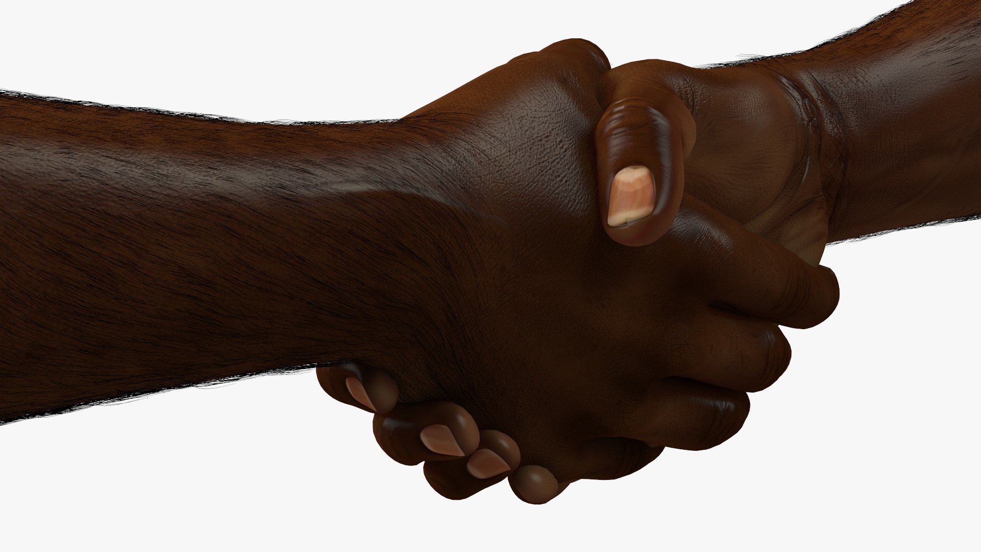 3D Model Handshake African Man Hands With Fur - TurboSquid 2112345