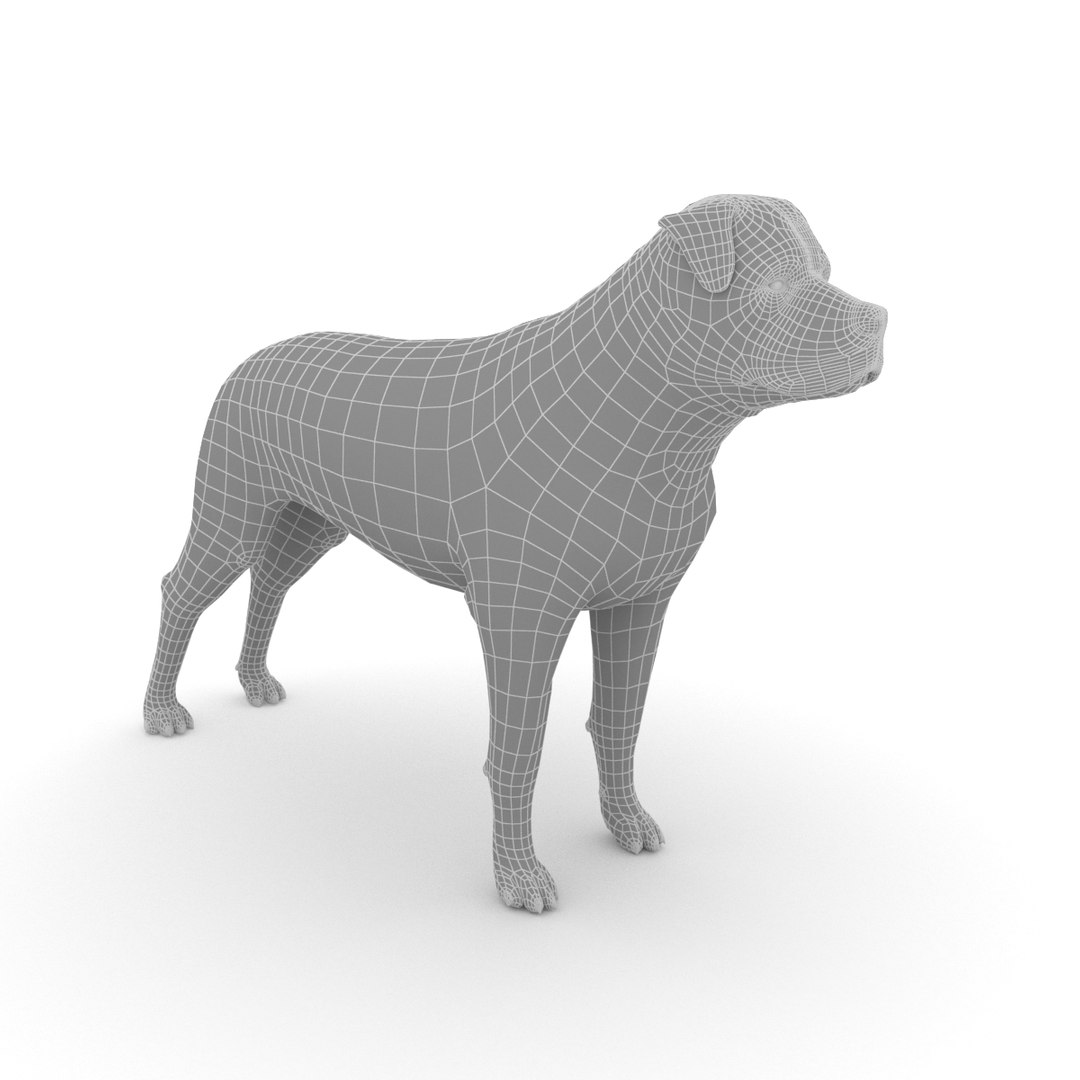 3D model rottweiler dog - TurboSquid 1380642
