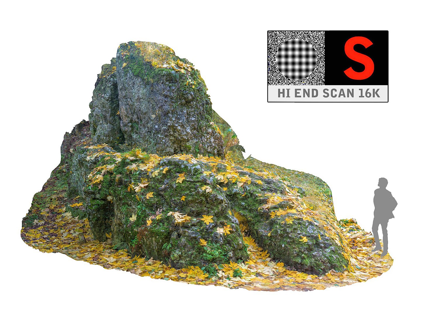 Max Rock Forest Autumn 8k