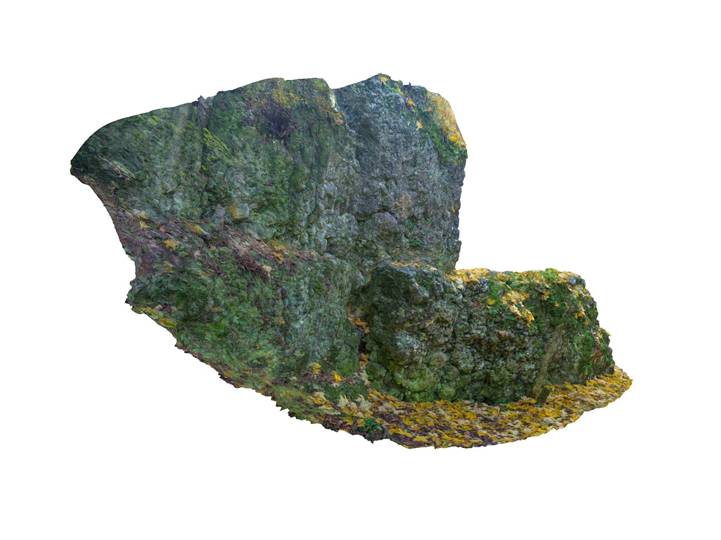 Max Rock Forest Autumn 8k