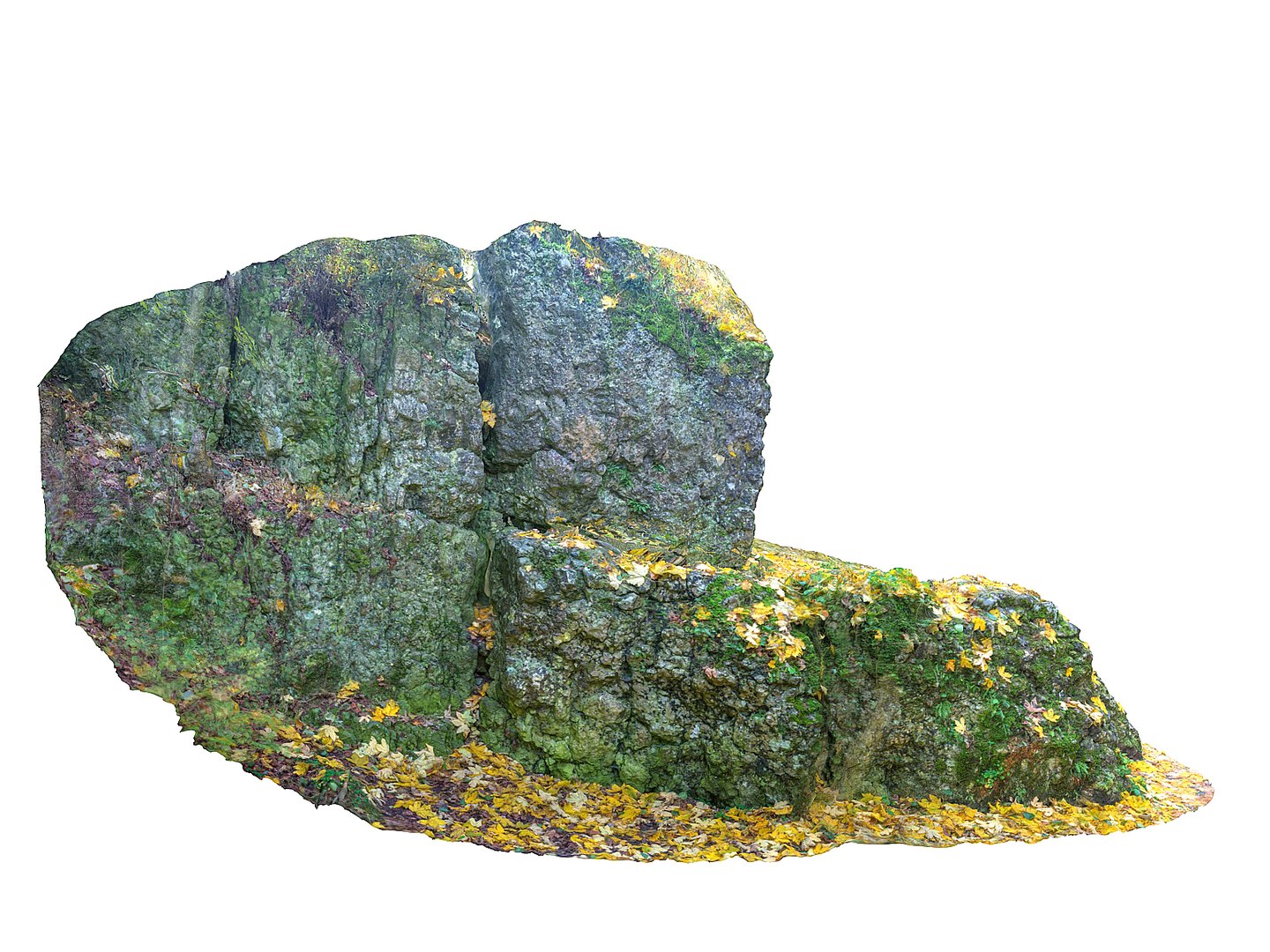 Max Rock Forest Autumn 8k