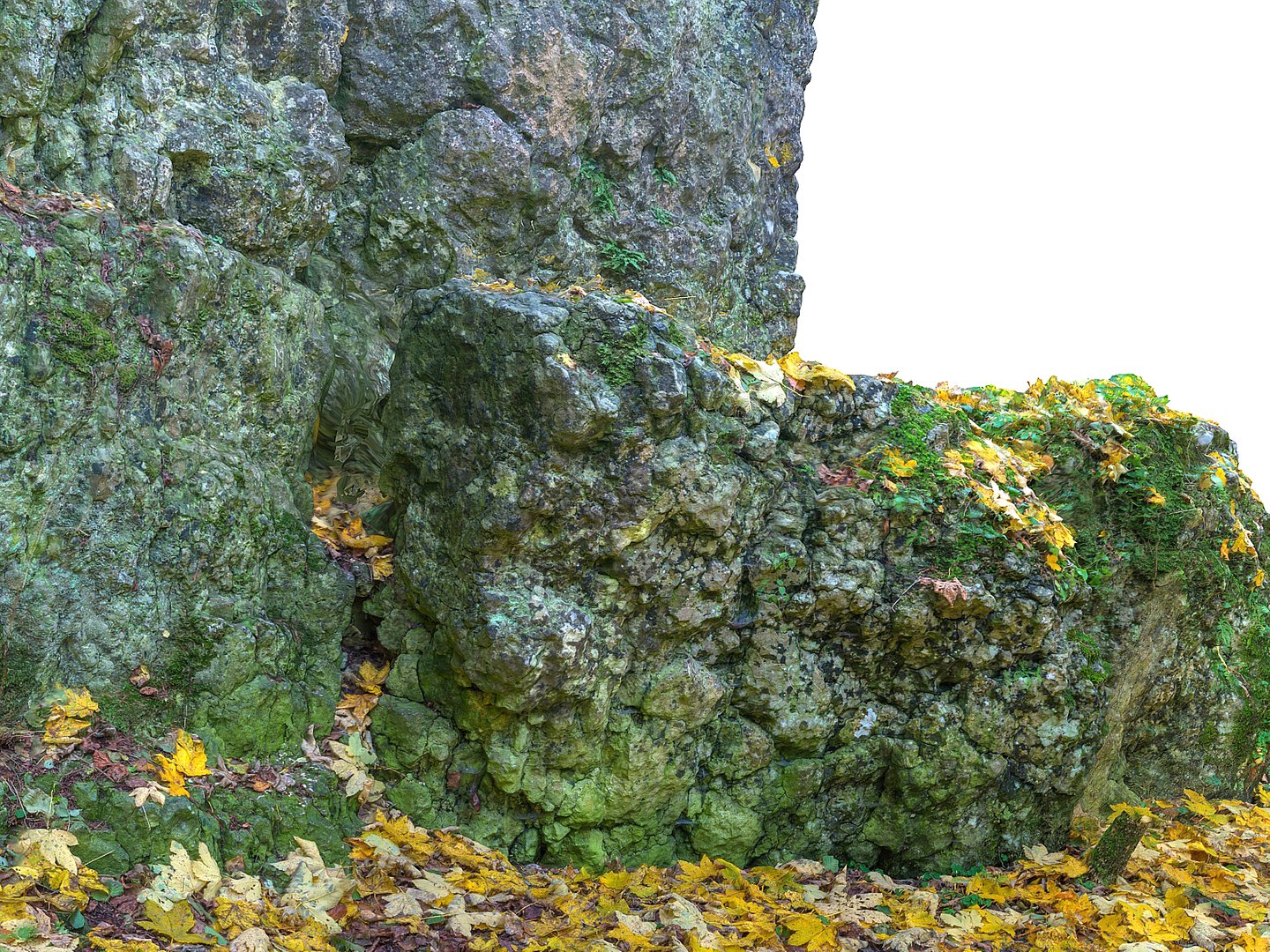 Max Rock Forest Autumn 8k