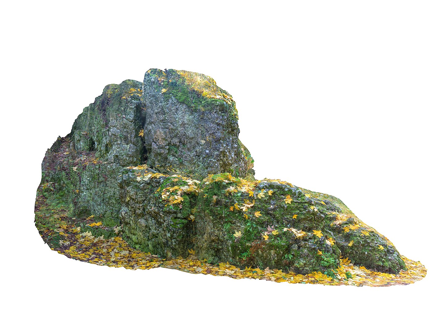 Max Rock Forest Autumn 8k