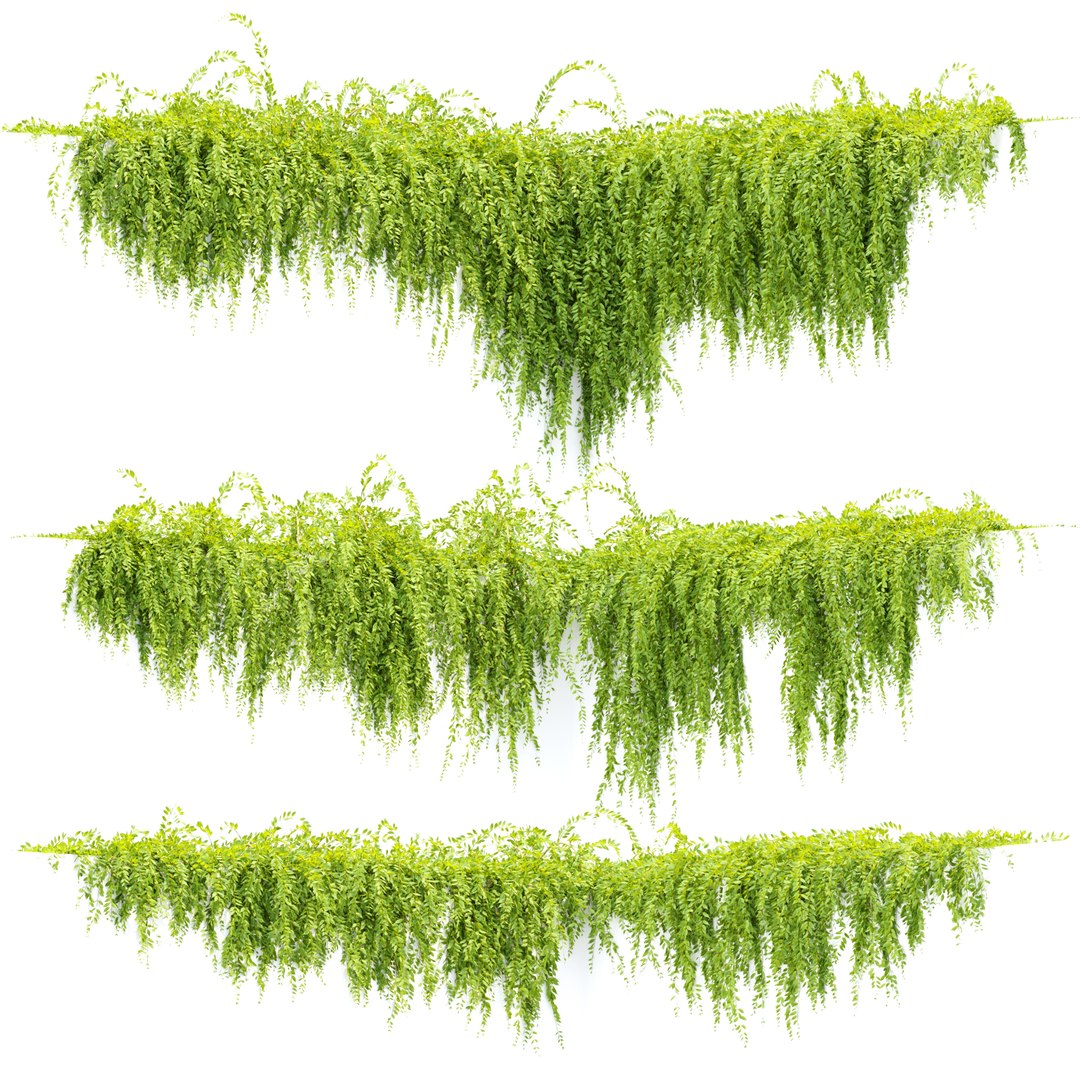 Hanging Creeper Plants Collection Vol 282-3dmodels 3D - TurboSquid 2293061