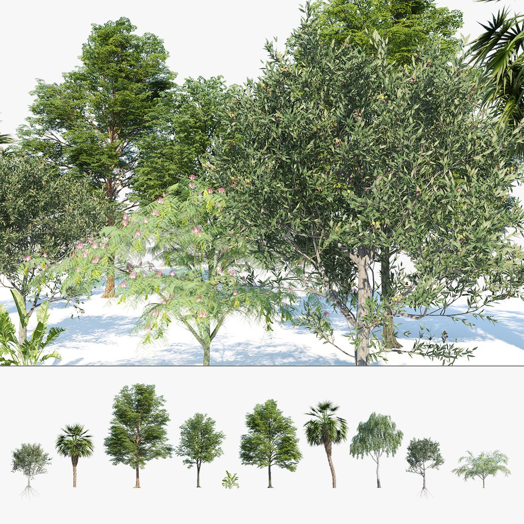 Landscape Trees Collection Low Poly 3D Model - TurboSquid 2022616