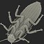 insects v3 3d model