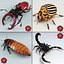 insects v3 3d model