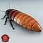 insects v3 3d model