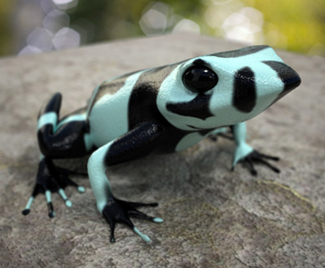 3d exotic frogs model