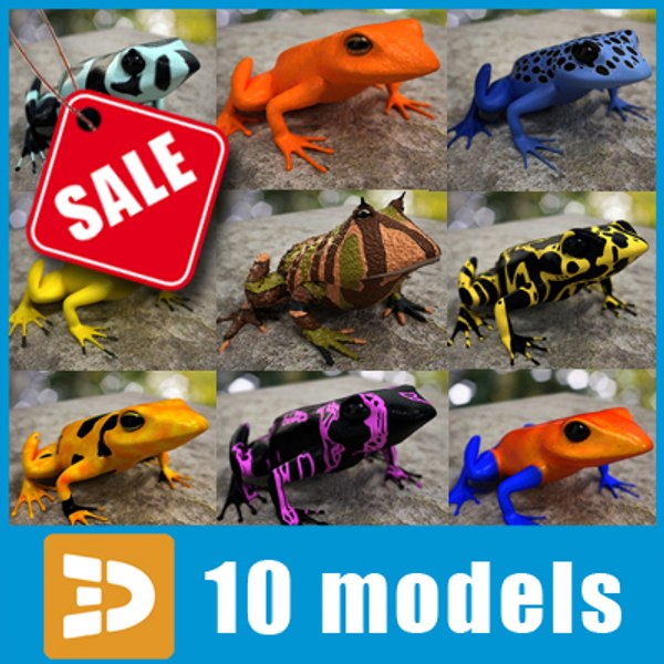 3d exotic frogs model