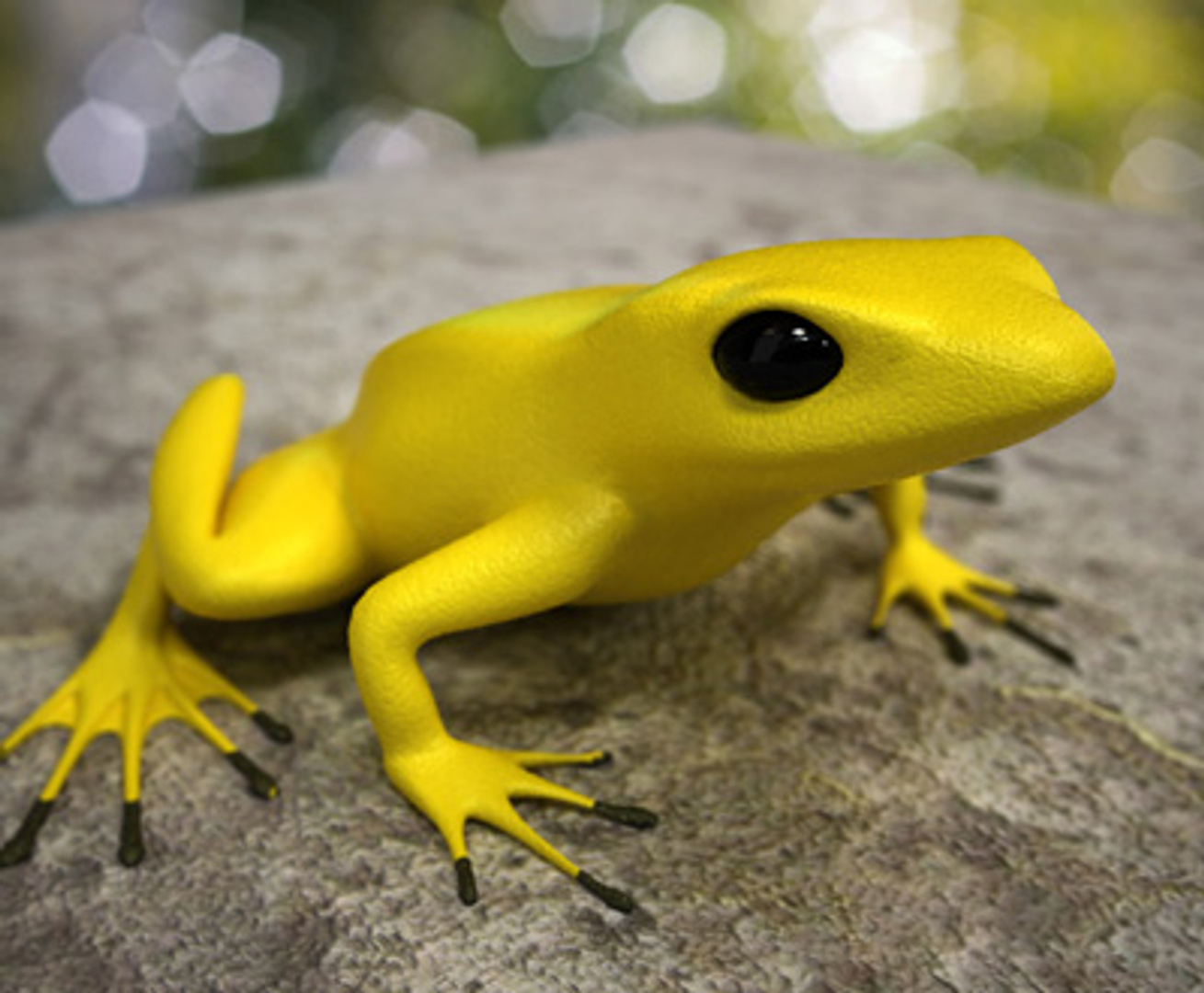 3d exotic frogs model