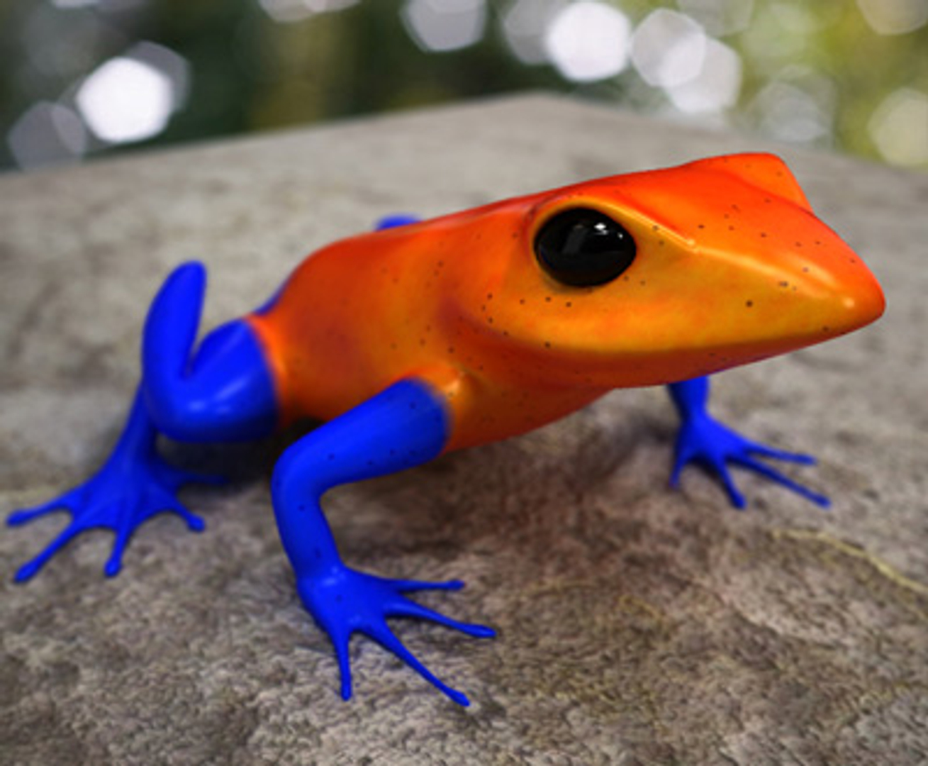 3d exotic frogs model
