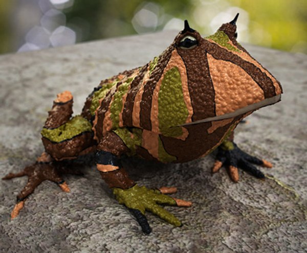 3d exotic frogs model
