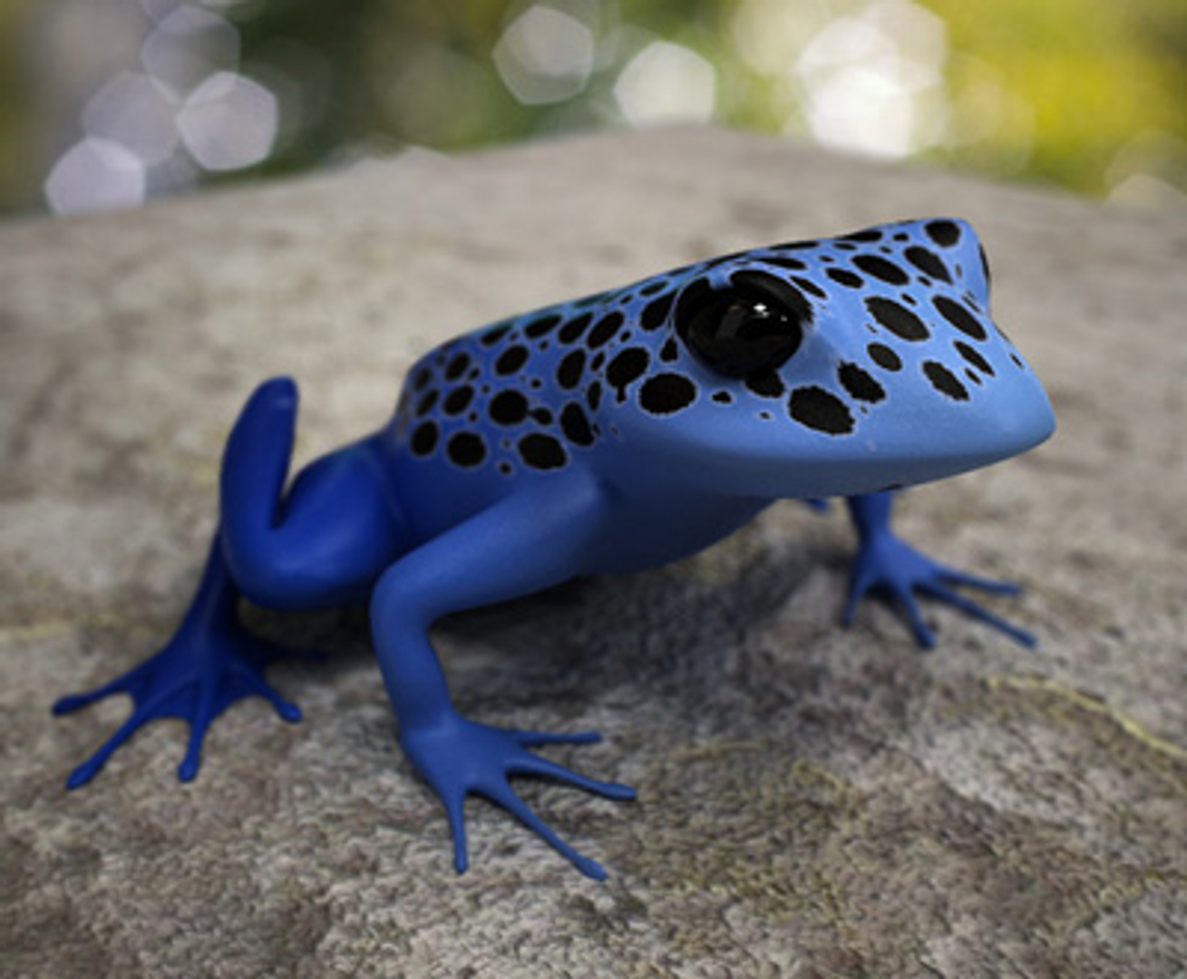 3d exotic frogs model