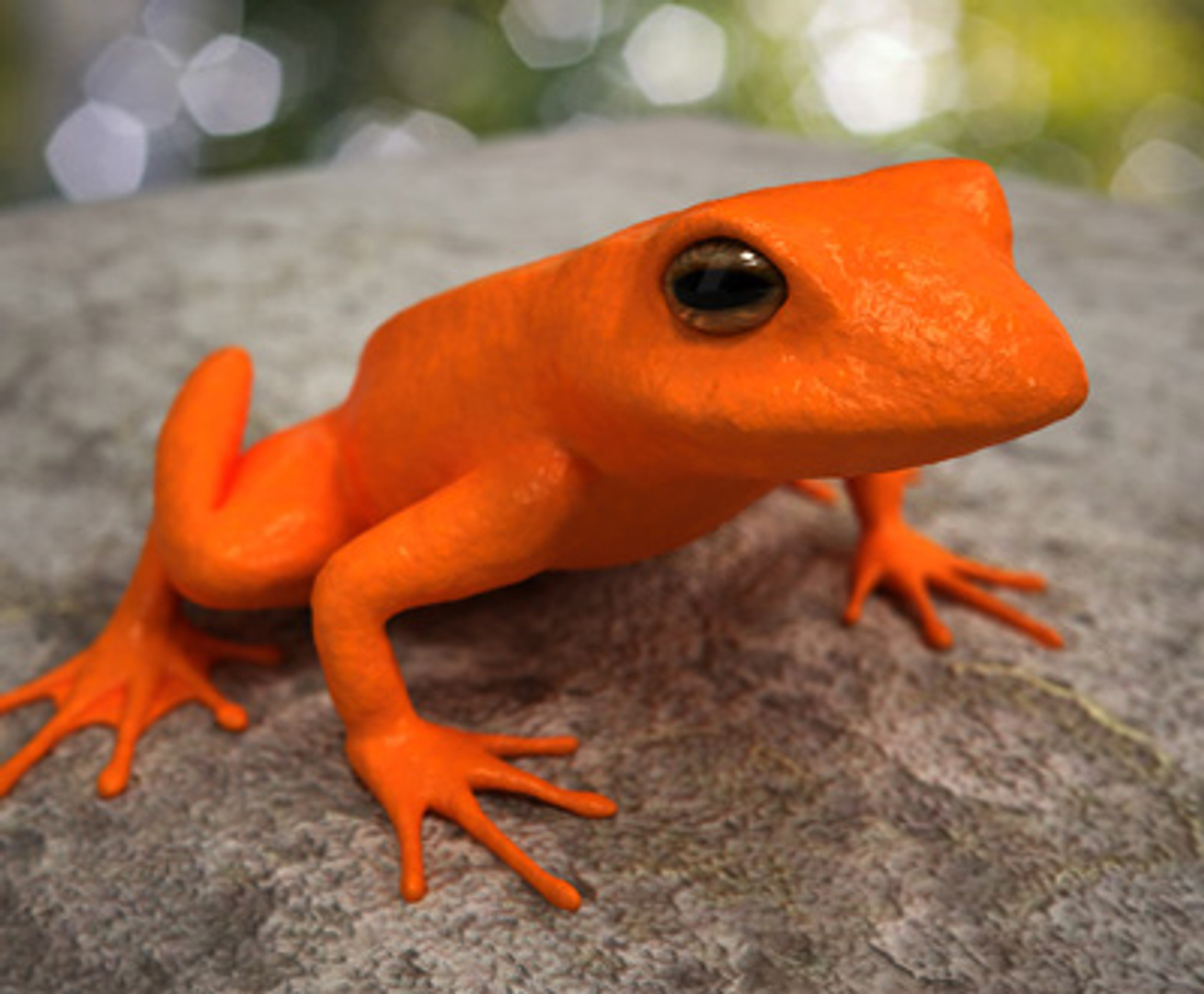 3d exotic frogs model