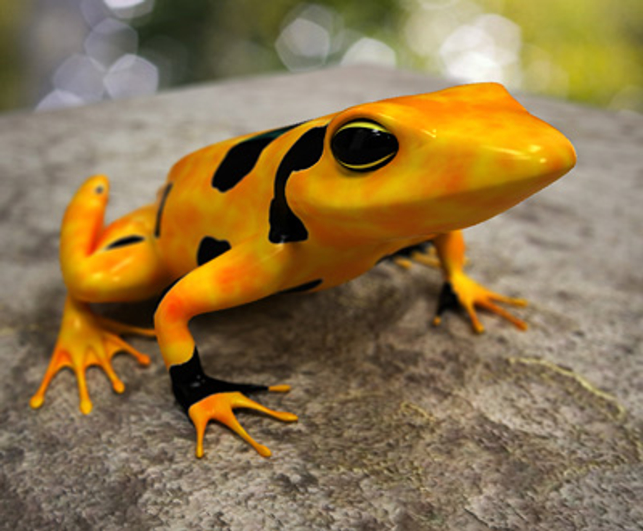 3d exotic frogs model