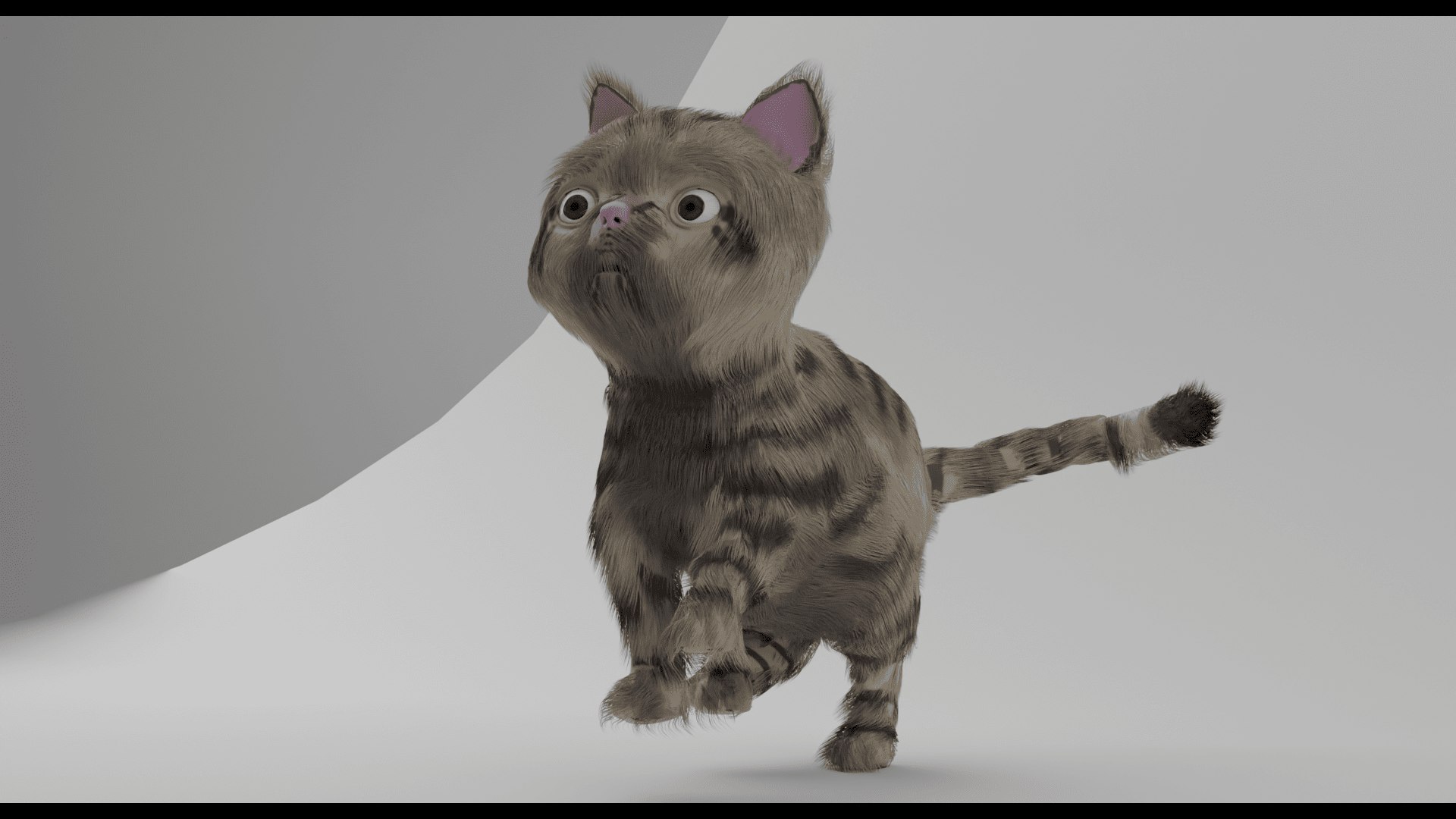 Cat Bundle All Riggged Model - TurboSquid 2286181
