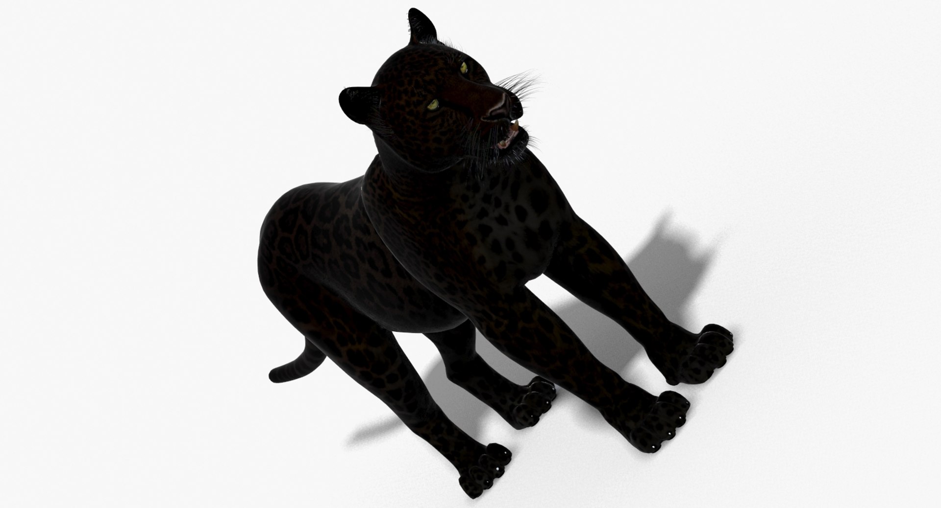 Panther Black Animal 3d Model