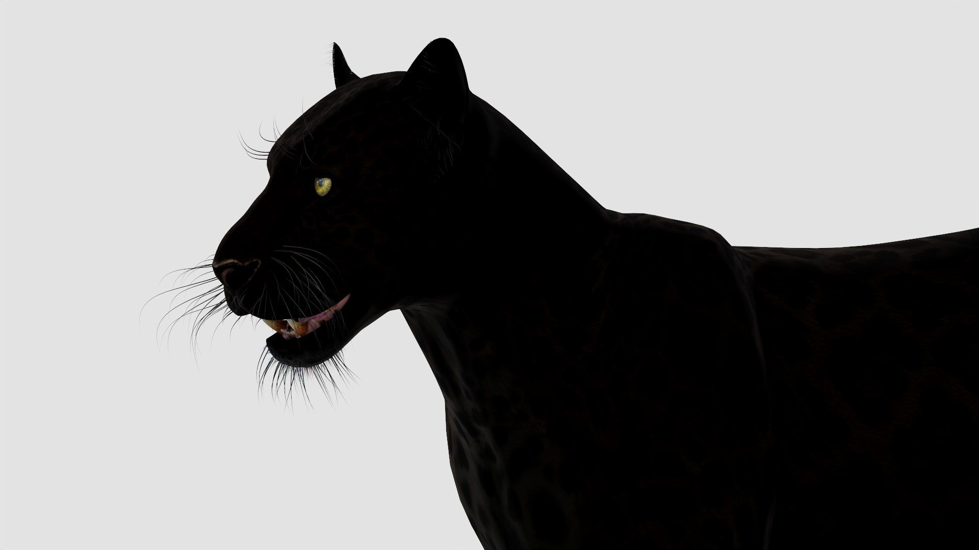 Panther Black Animal 3d Model