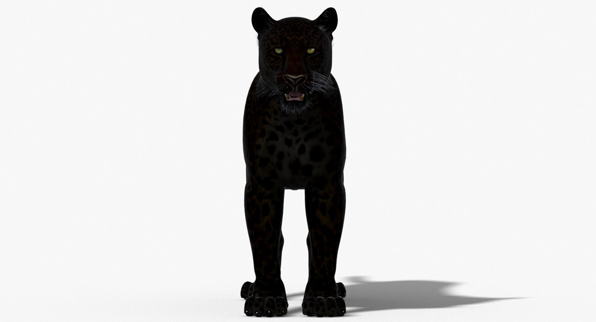 Panther Black Animal 3d Model