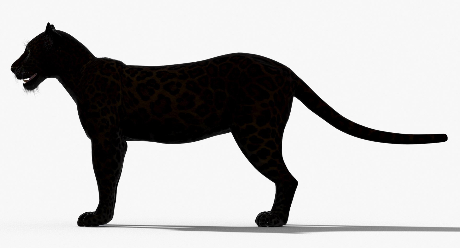 Panther Black Animal 3d Model