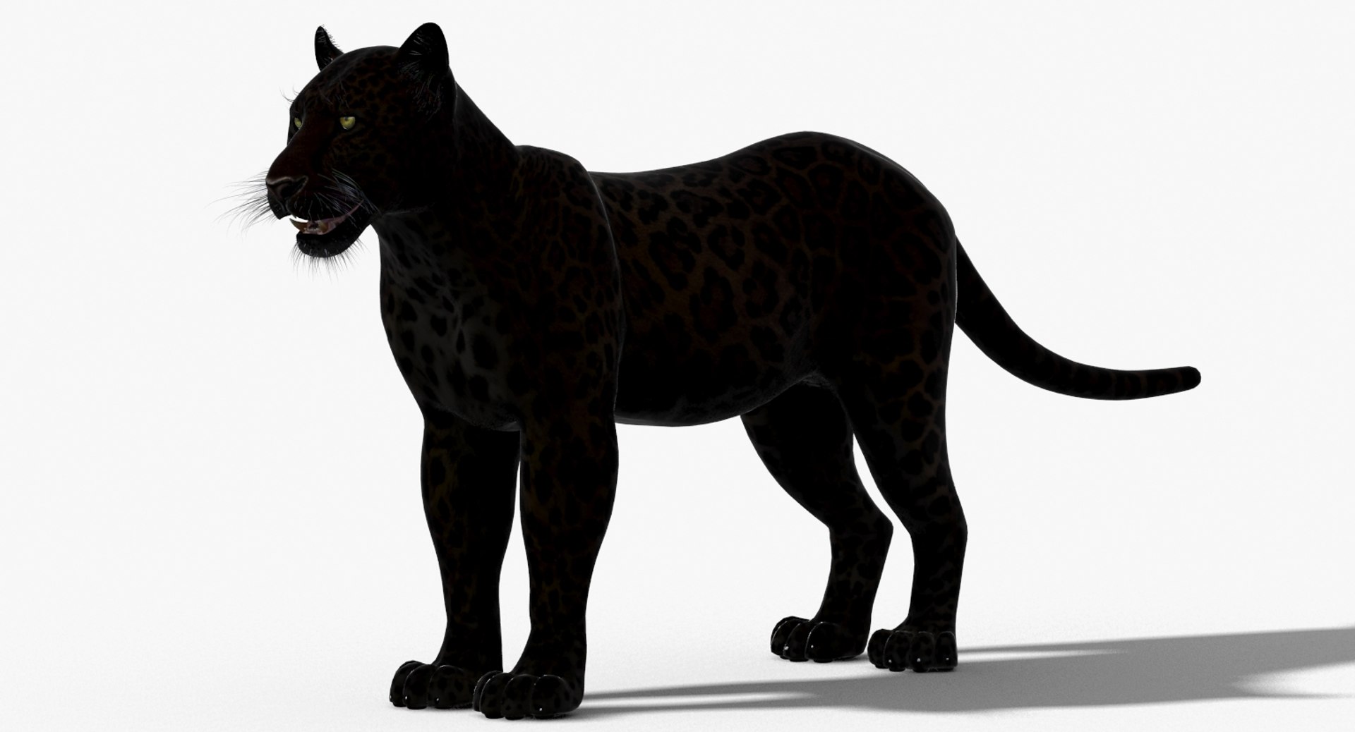 Panther Black Animal 3d Model
