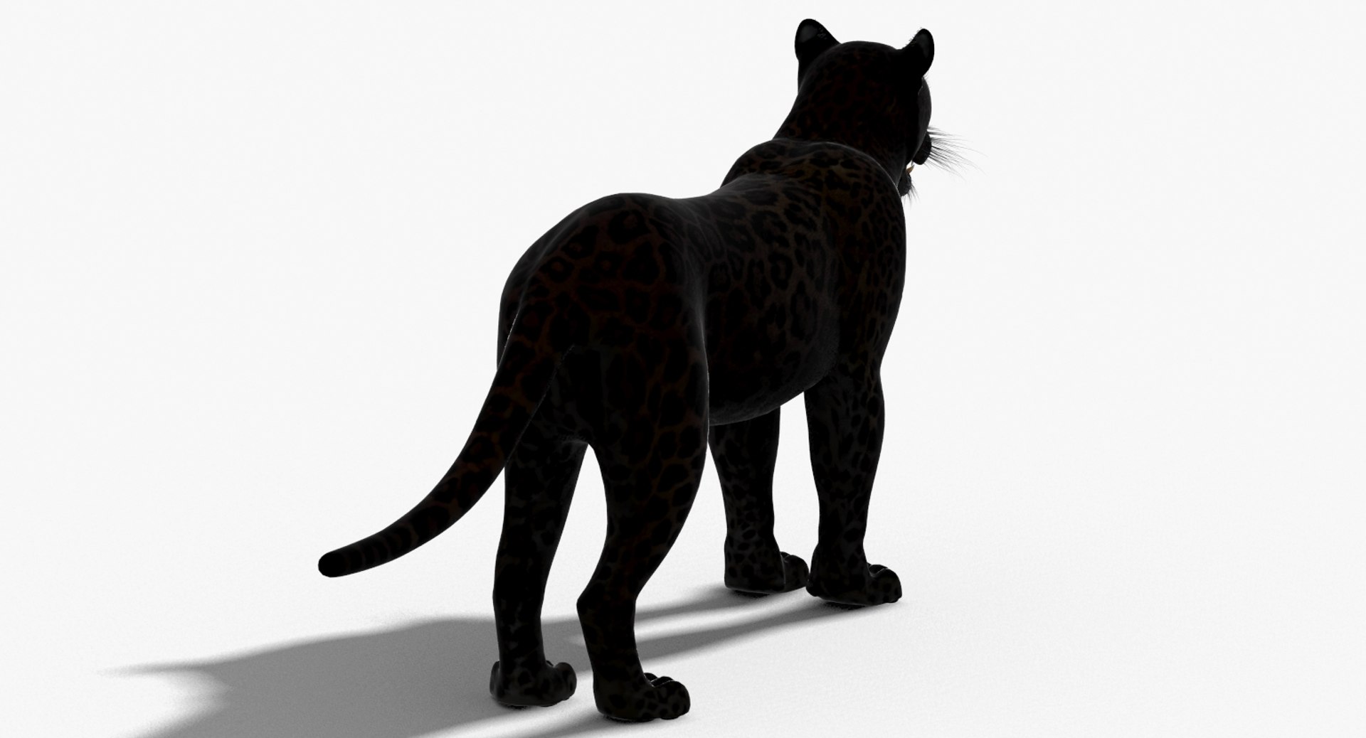 Panther Black Animal 3d Model