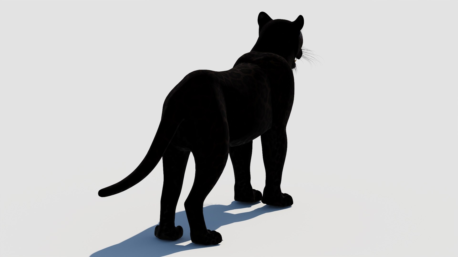 Panther Black Animal 3d Model