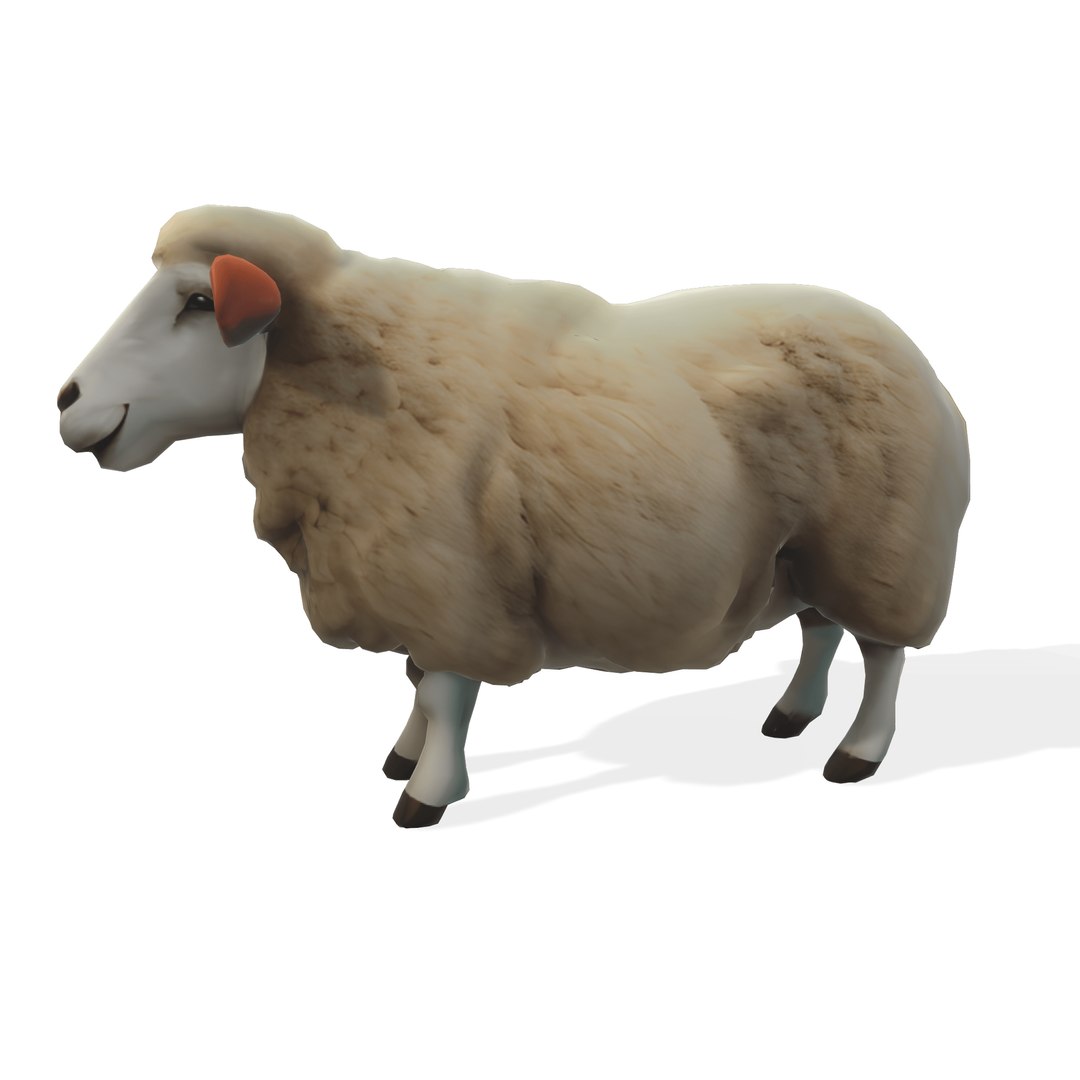 Woolly The Stylized Sheep 3D - TurboSquid 2324731