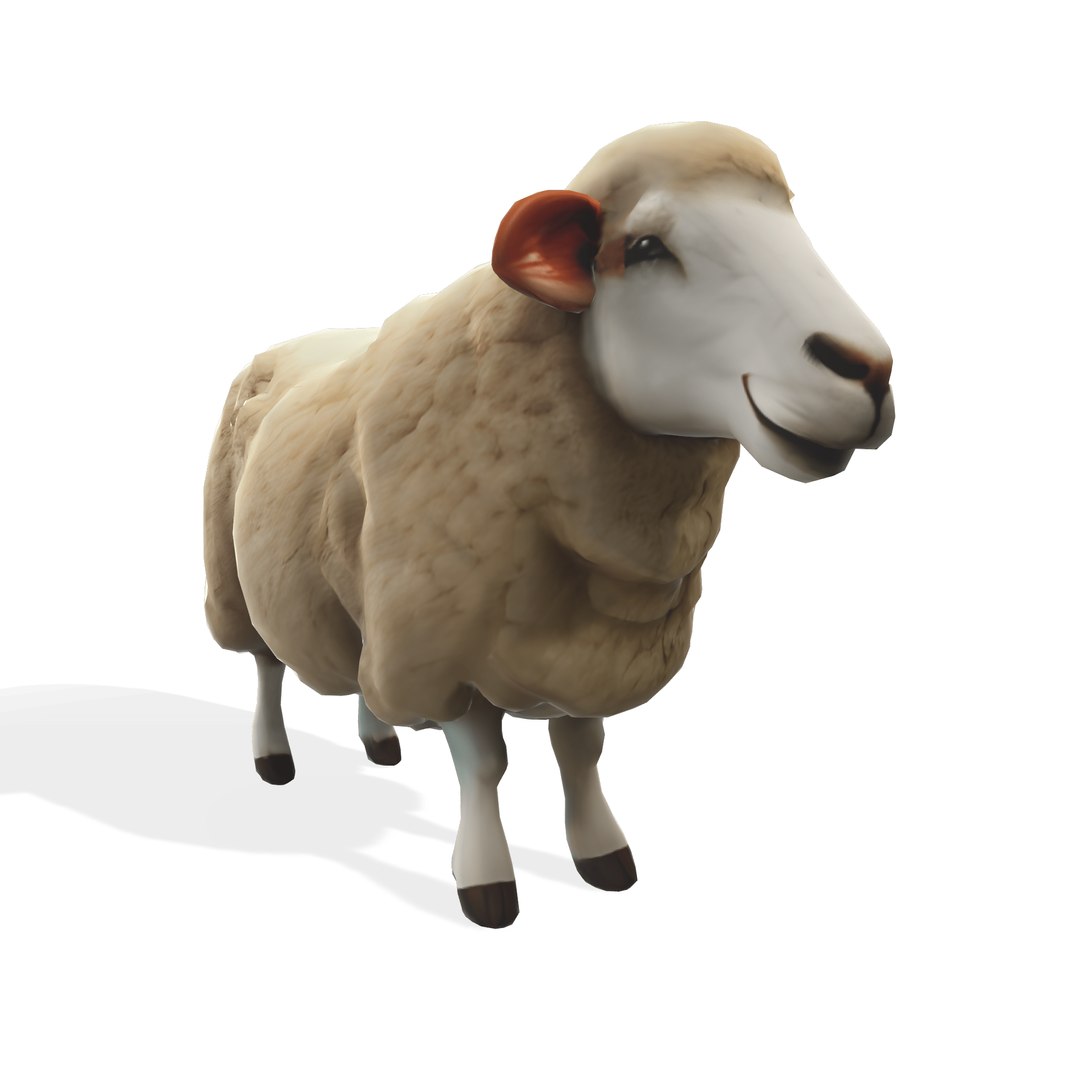 Woolly The Stylized Sheep 3D - TurboSquid 2324731