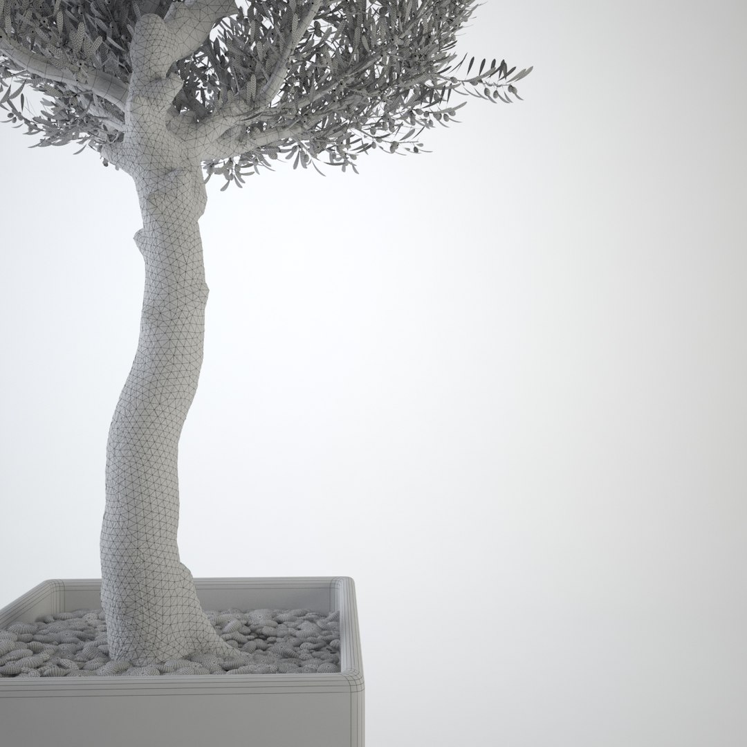 Olive Tree 3d Max