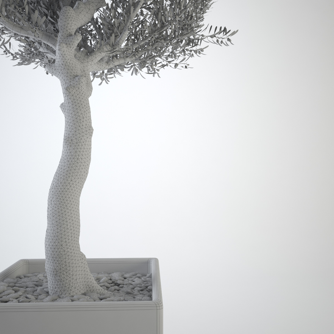 olive tree 3d max