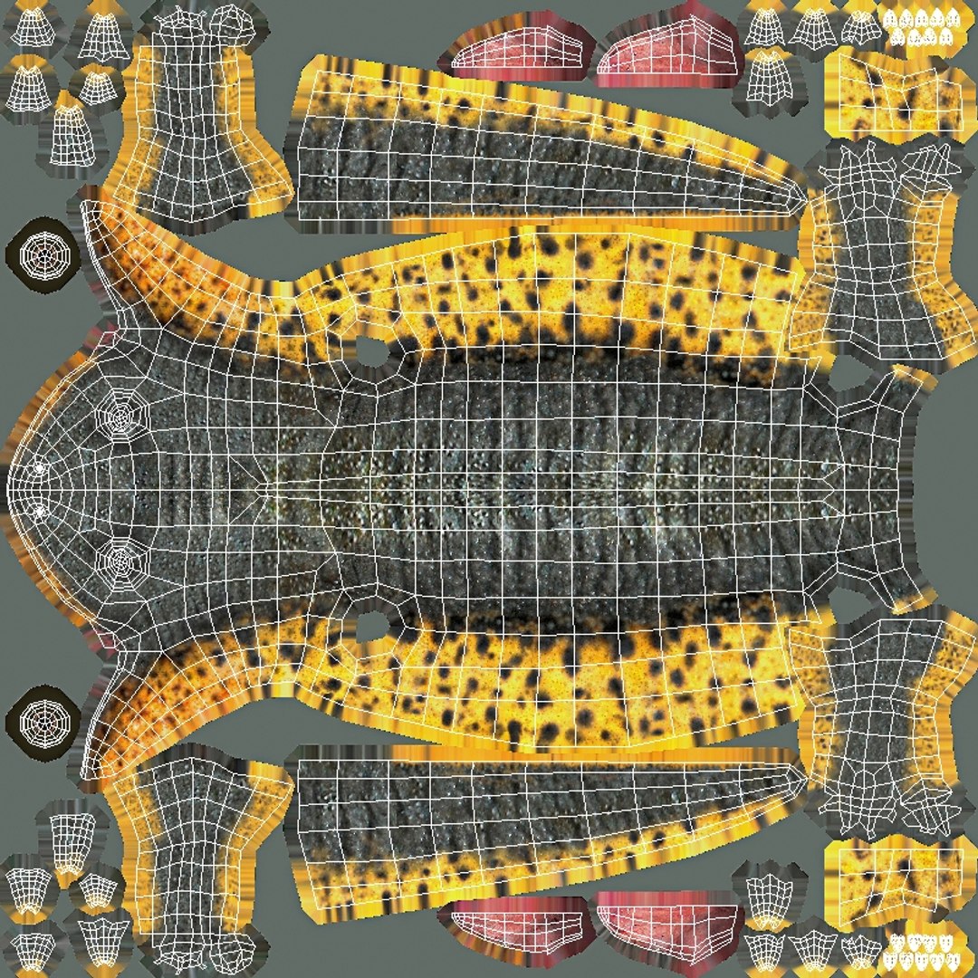 Salamander Amphibians Frogs Model - TurboSquid 1500045