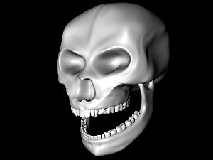 Free Low Poly 3D Skull Models For Download | TurboSquid