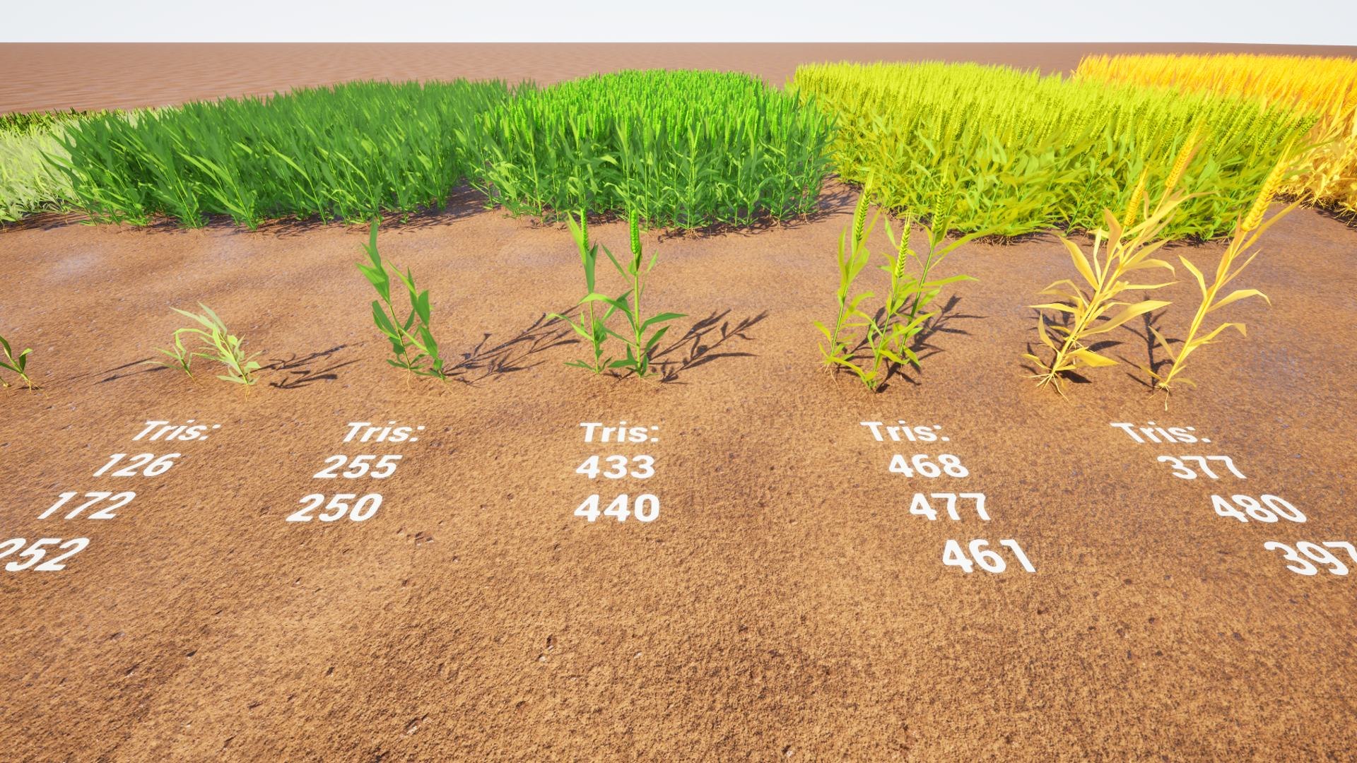 Stylized Wheat Growth Stages 3D Model - TurboSquid 2453018