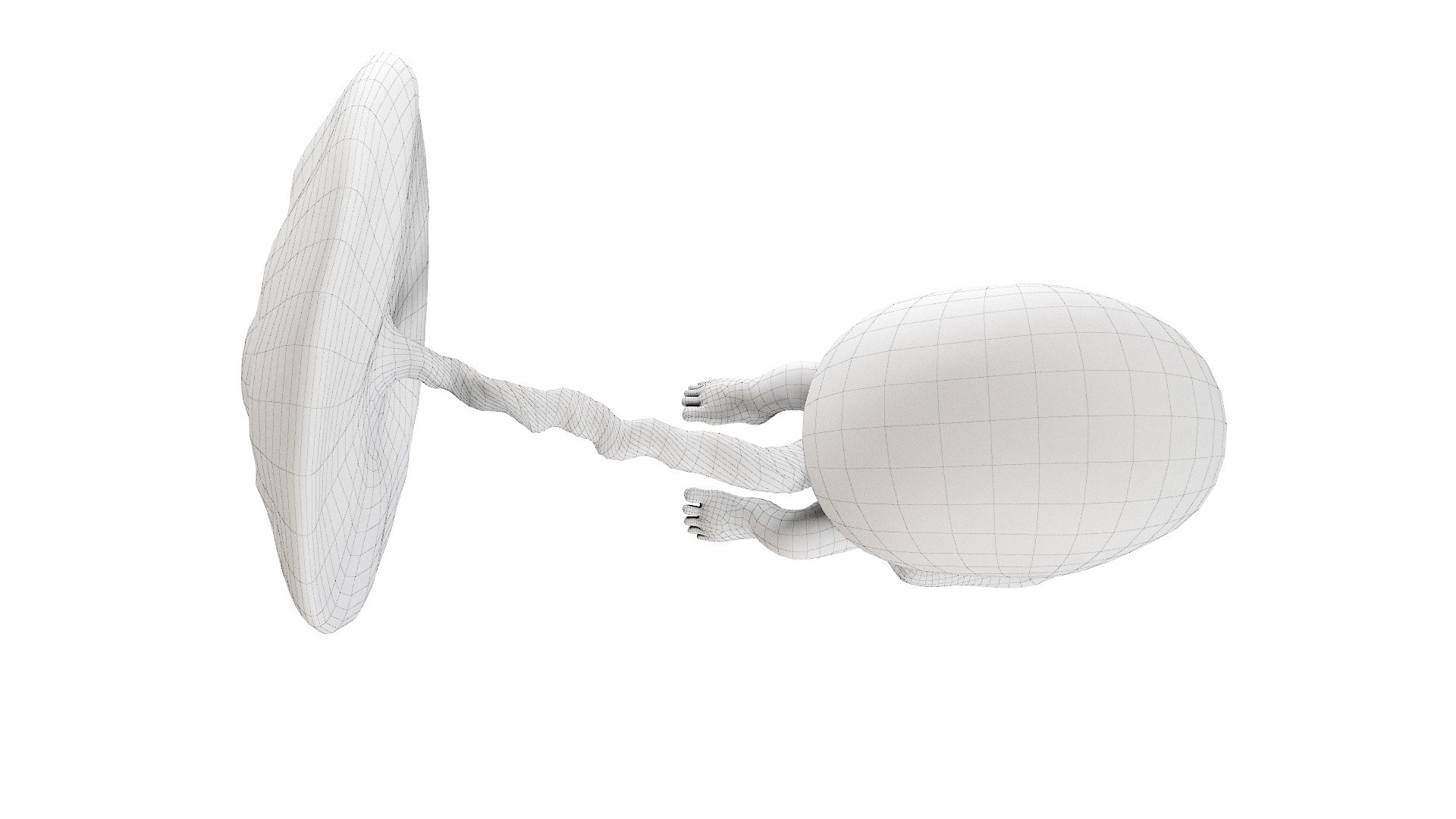 3D Model Fetus Week 10 Static - TurboSquid 1874929