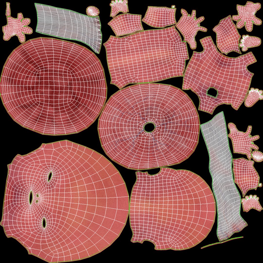 3D Model Fetus Week 10 Static - TurboSquid 1874929