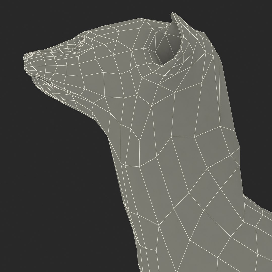 3d Model Weasel Pose 4 Fur