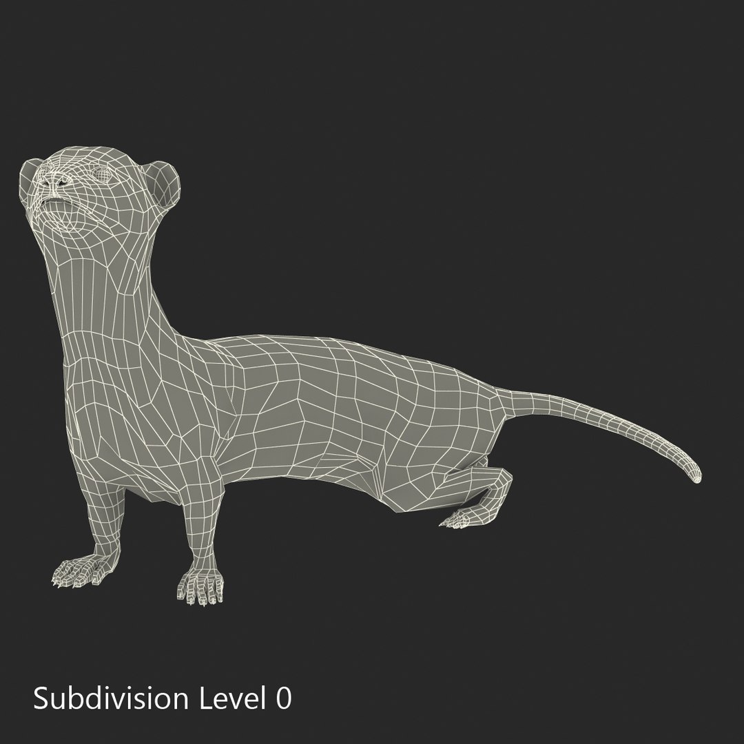 3d Model Weasel Pose 4 Fur