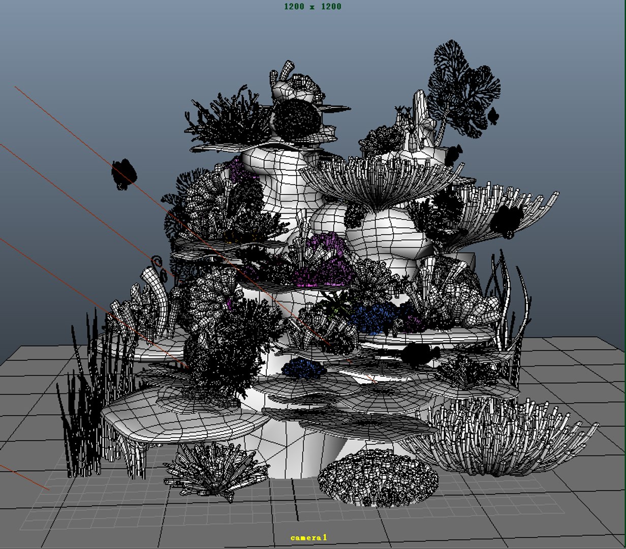 3D Model Coral Reef - TurboSquid 1214057