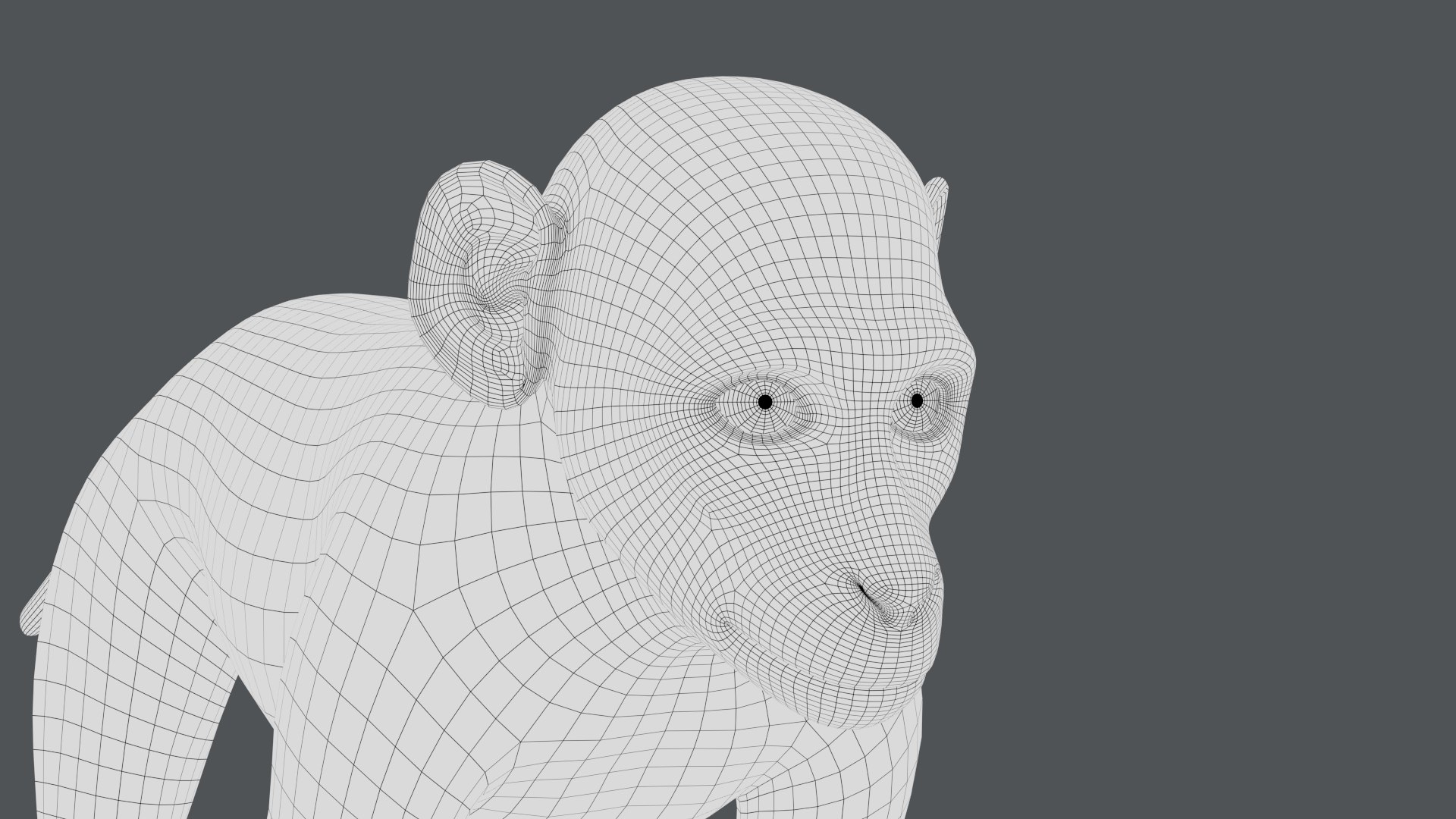 3D Model Monkey Ververt Fur Rigged - TurboSquid 1707335
