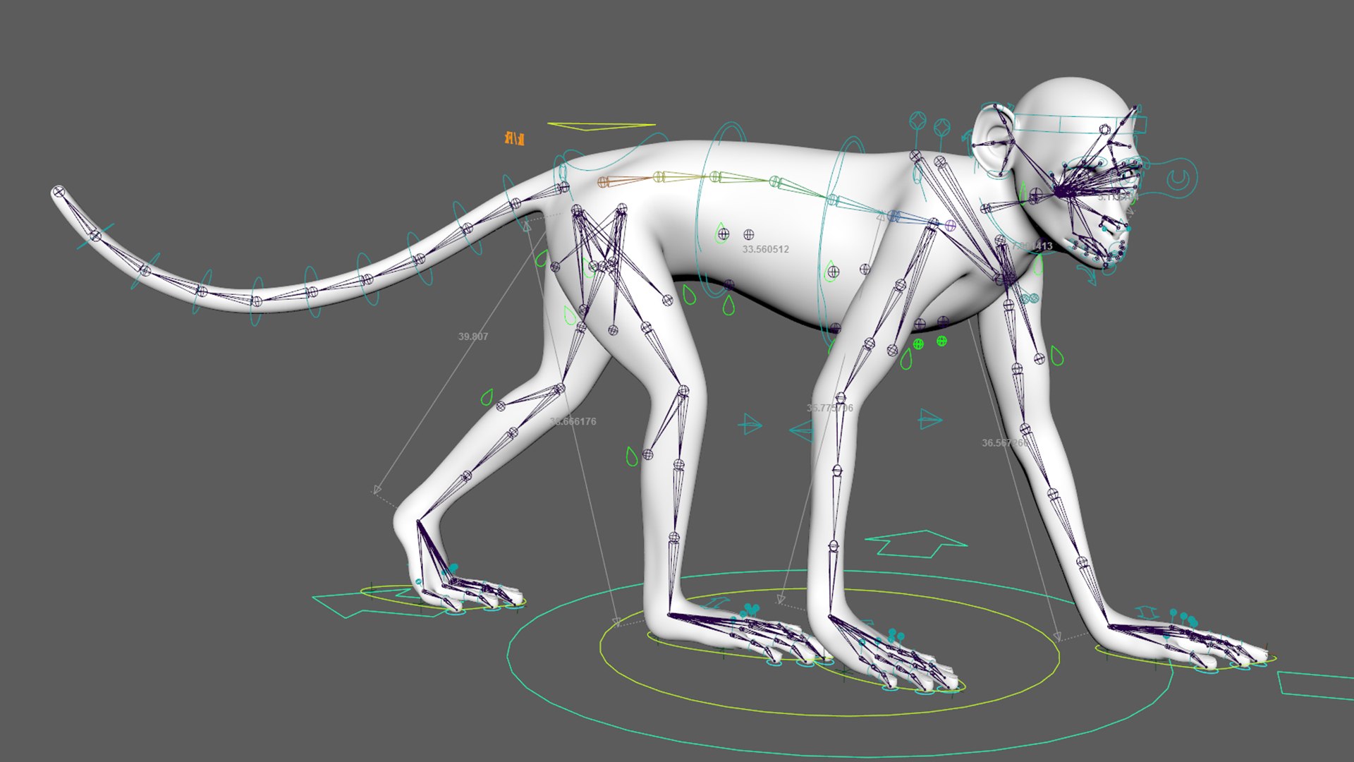 3D model monkey ververt fur rigged - TurboSquid 1707335