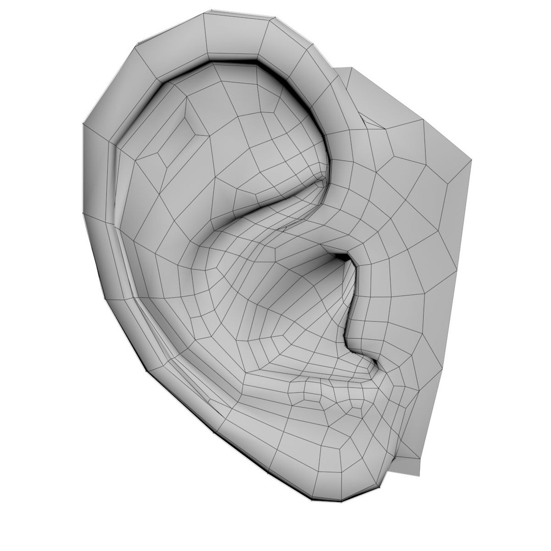 Human ear 3D model - TurboSquid 1261365