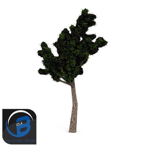 3d model tree leaf
