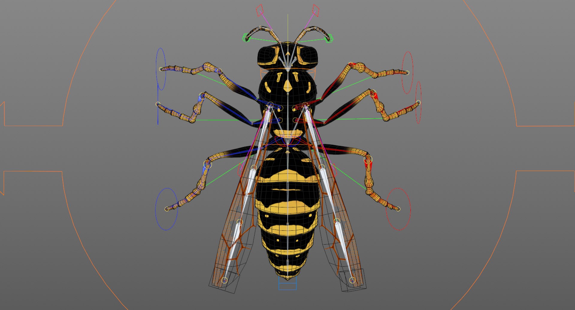 Realistic Wasp 3d Model